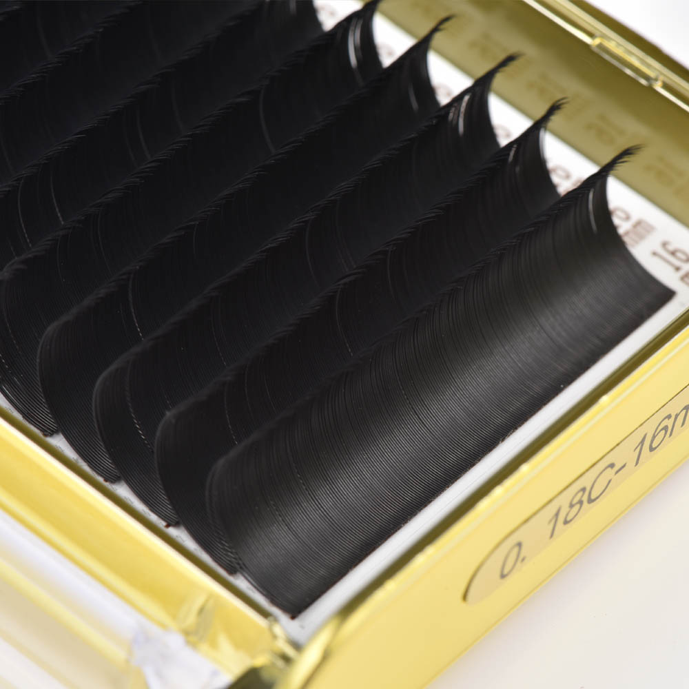 GAlash® - Professional Eyelash Extensions Supplier